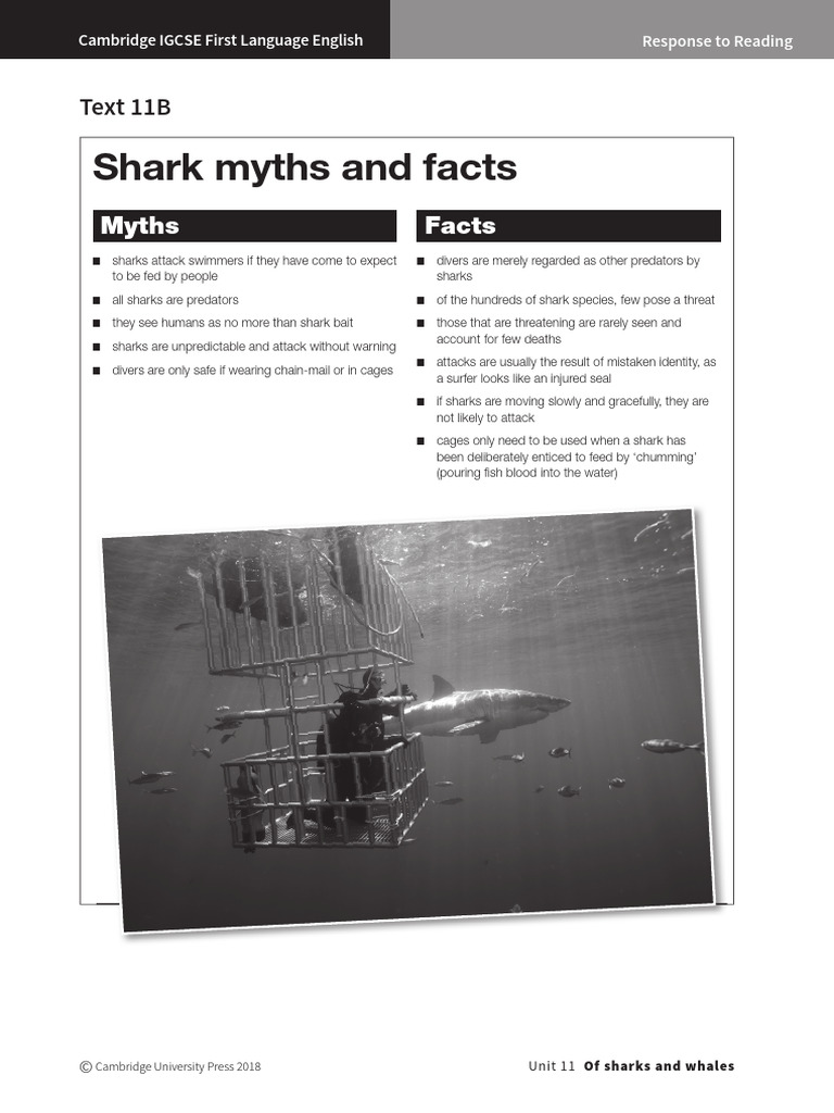 Text_11B_IGCSE_FLE | PDF