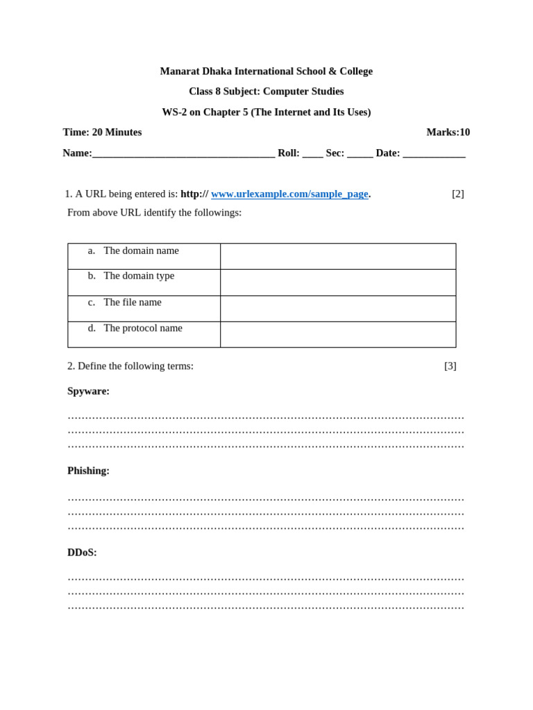 Class 8 Computer Studies WS-2 | PDF
