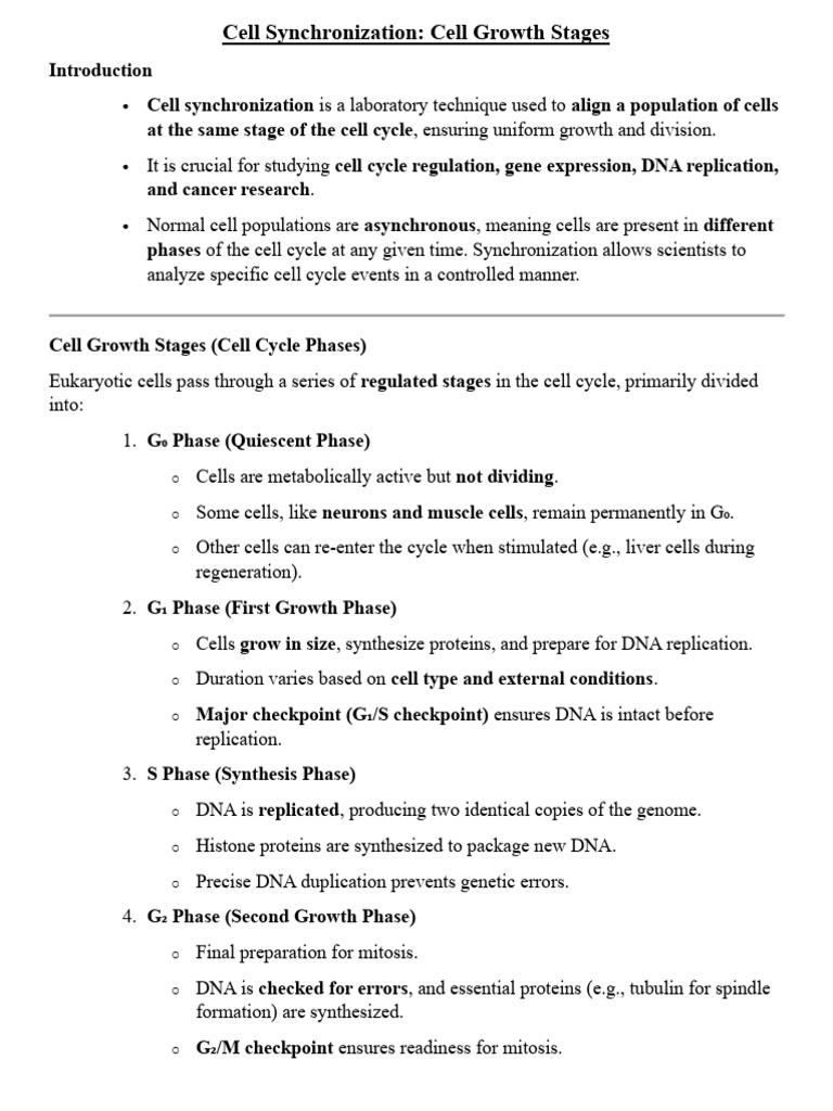Cell Synchronization - Cell Growth Stages | PDF | Cell Cycle | Mitosis
