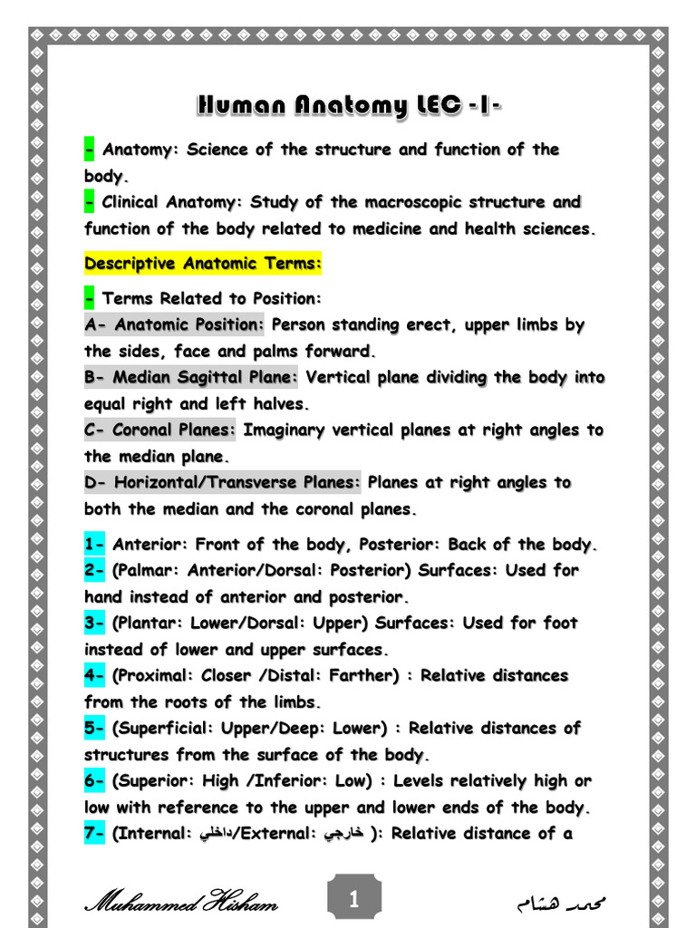 Anatomy and Movement Terminology Guide | PDF | Human Nose | Anatomical ...