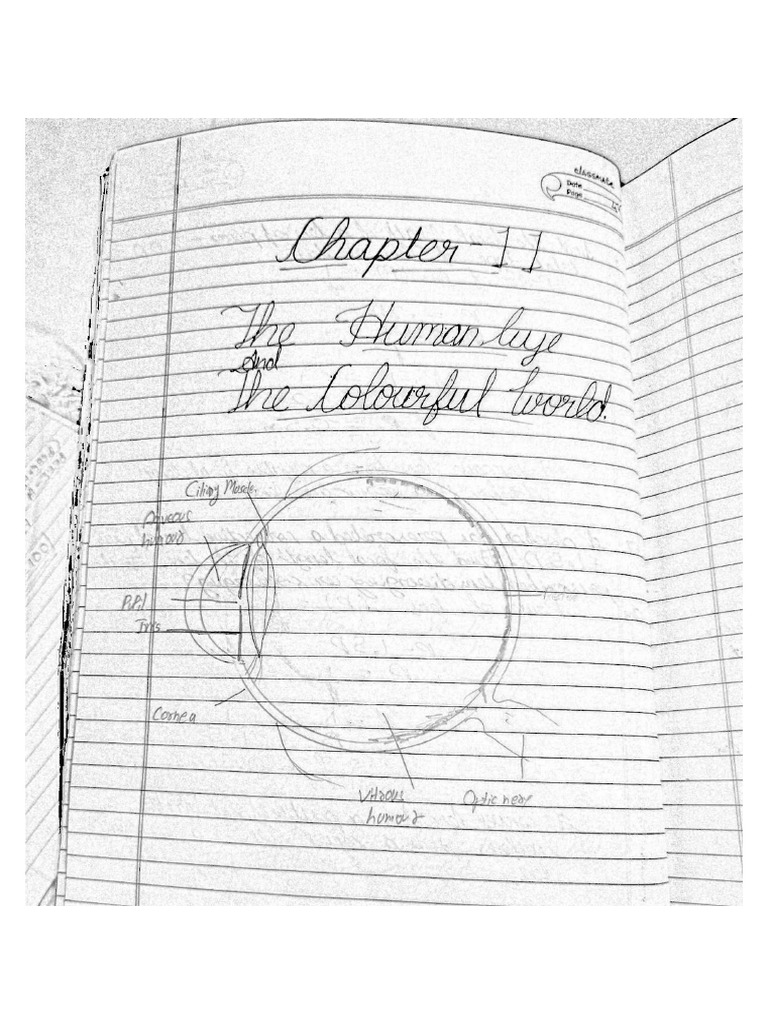 Class 10 Physics Chapter 2 - (H.E.C.W) | PDF