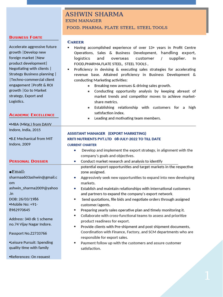 Ashwin International Business CV 2425 | PDF | Marketing | Supply Chain Management