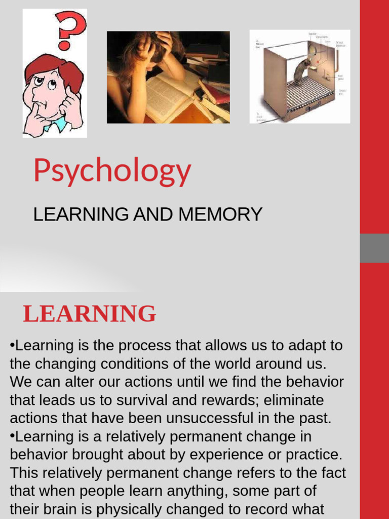 An Analysis of Learning and Memory | PDF | Reinforcement | Classical Conditioning