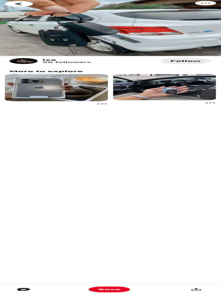 Iza: Profile and Followers Overview | PDF