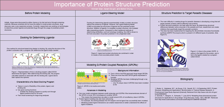 Protein Structure Prediction in Drug Design | PDF | Docking (Molecular ...