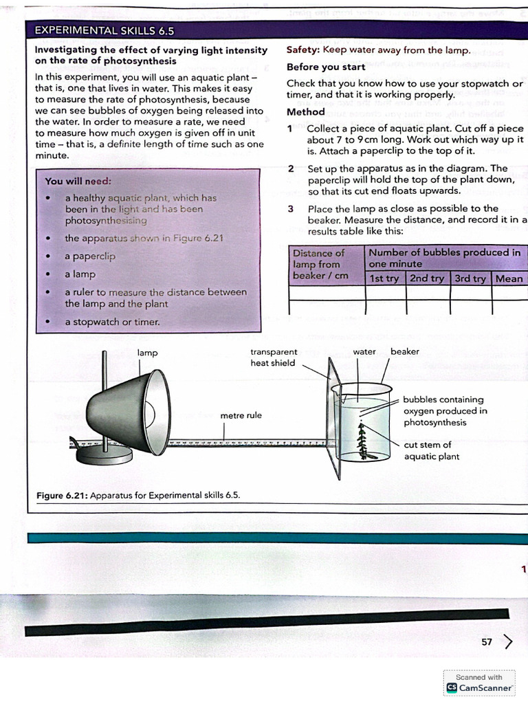 Effect of Varying Light Intensity | PDF