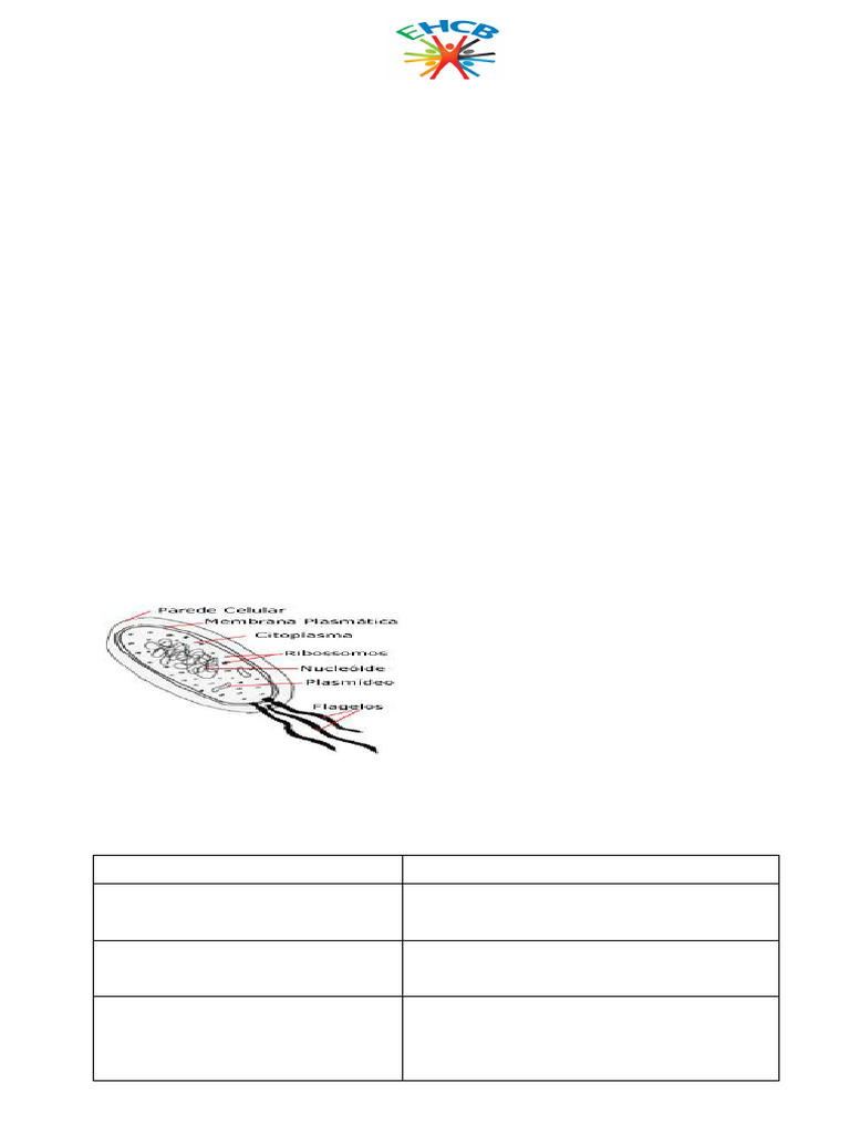 Ficha de Apoio Da10 Classe | PDF | RNA | Célula (Biologia)