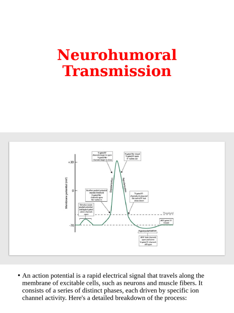 Neuro Transmission | PDF | Neurotransmitter | Membrane Potential