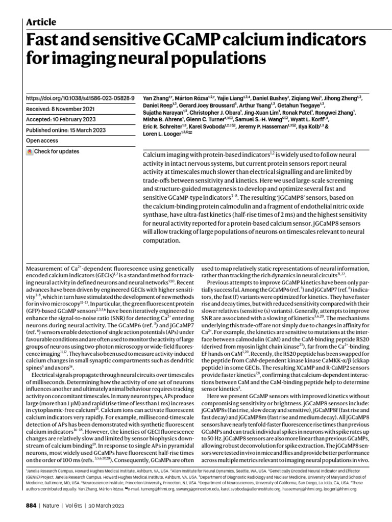 Fast and sensitive GCaMP calcium indicators for imaging neural ...