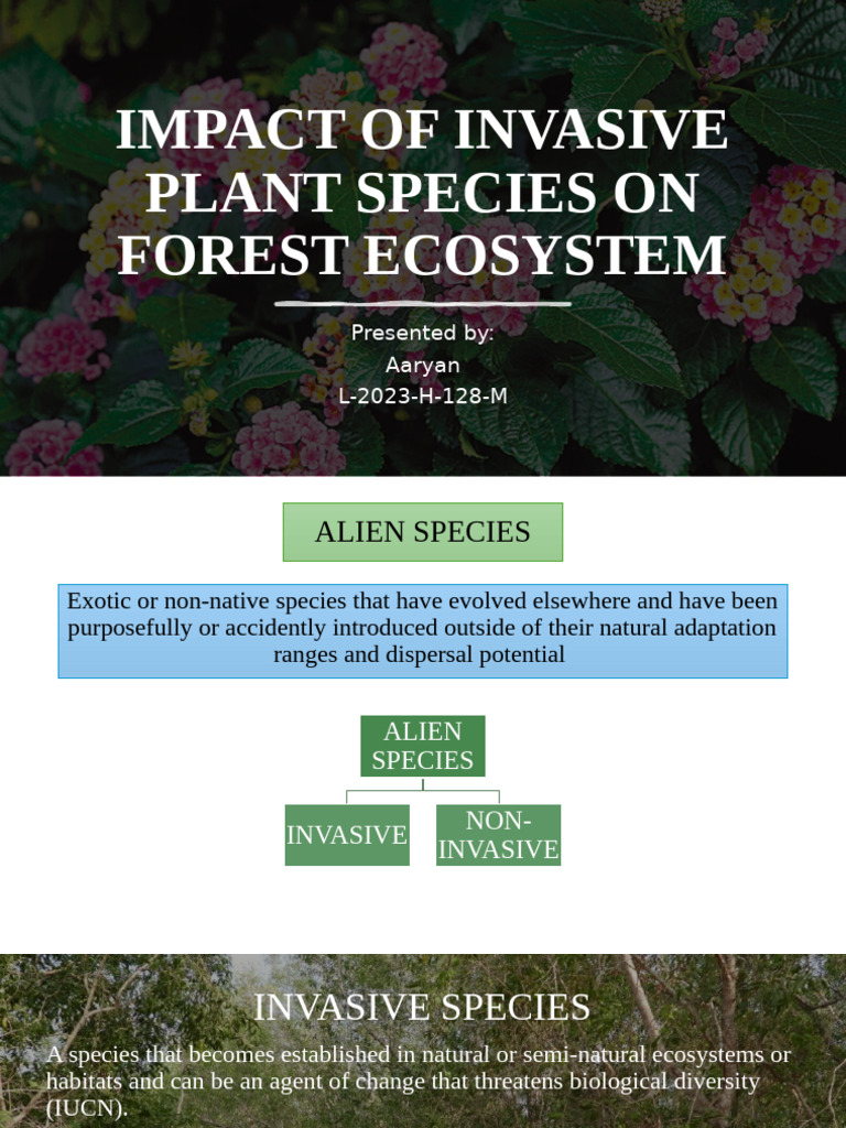 Invasive Plants Threaten Forests | PDF | Invasive Species | Introduced ...