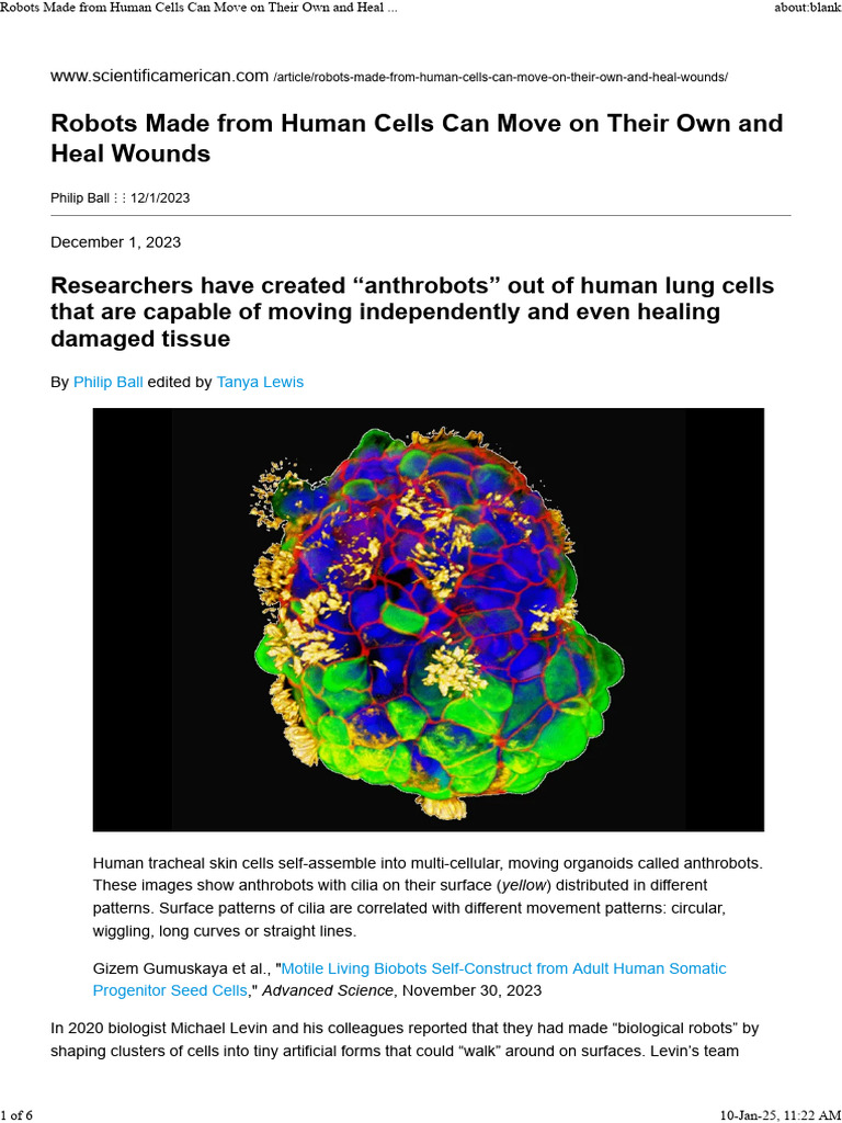 Robots Made From Human Cells Can Move On Their Own and Heal Wounds ...