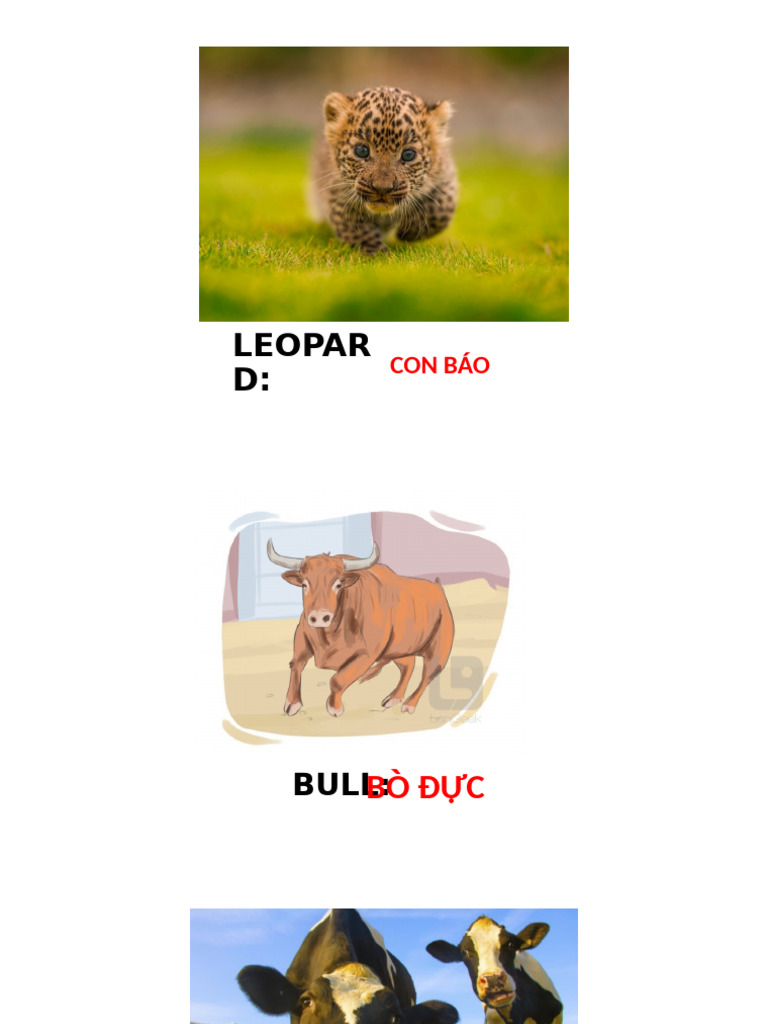 Animals 10a5 | PDF