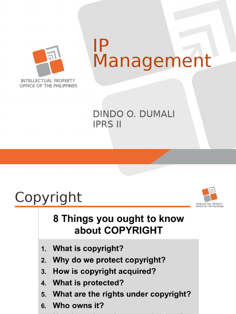 Understanding Copyright Protection Basics | PDF