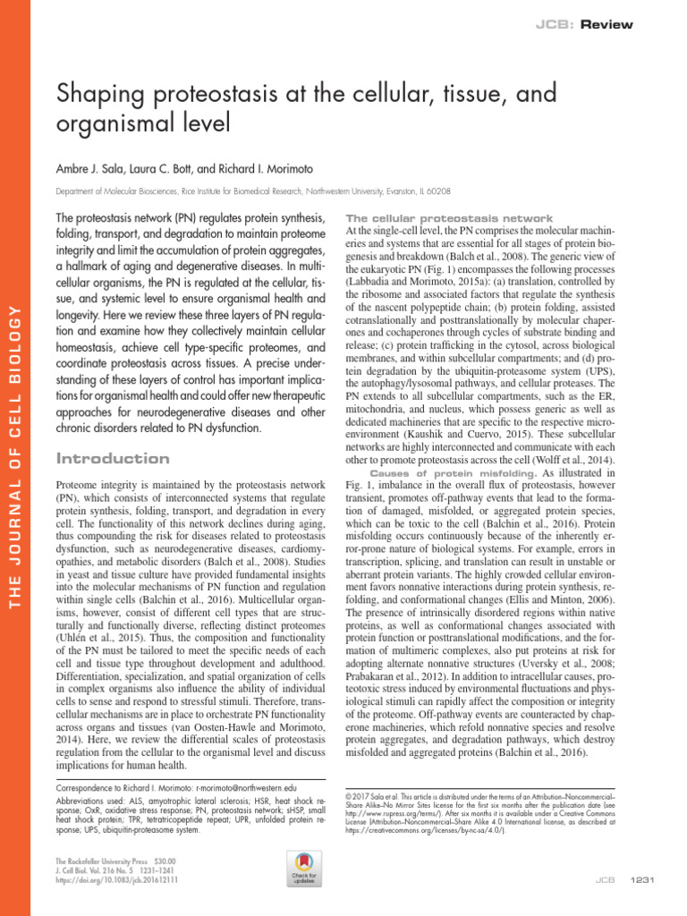 J Cell Biol-Review-Proteostasis at Cellular Tissue & Organismal Level ...