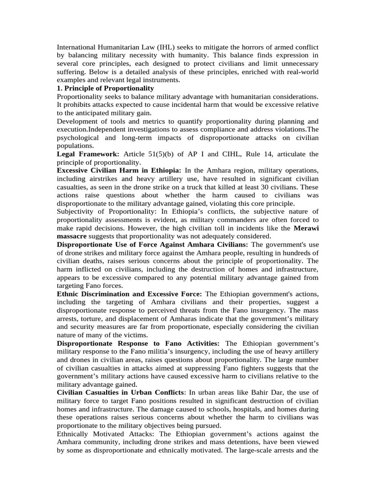 Analysis of Core Principles (2) | PDF | Civilian | International ...