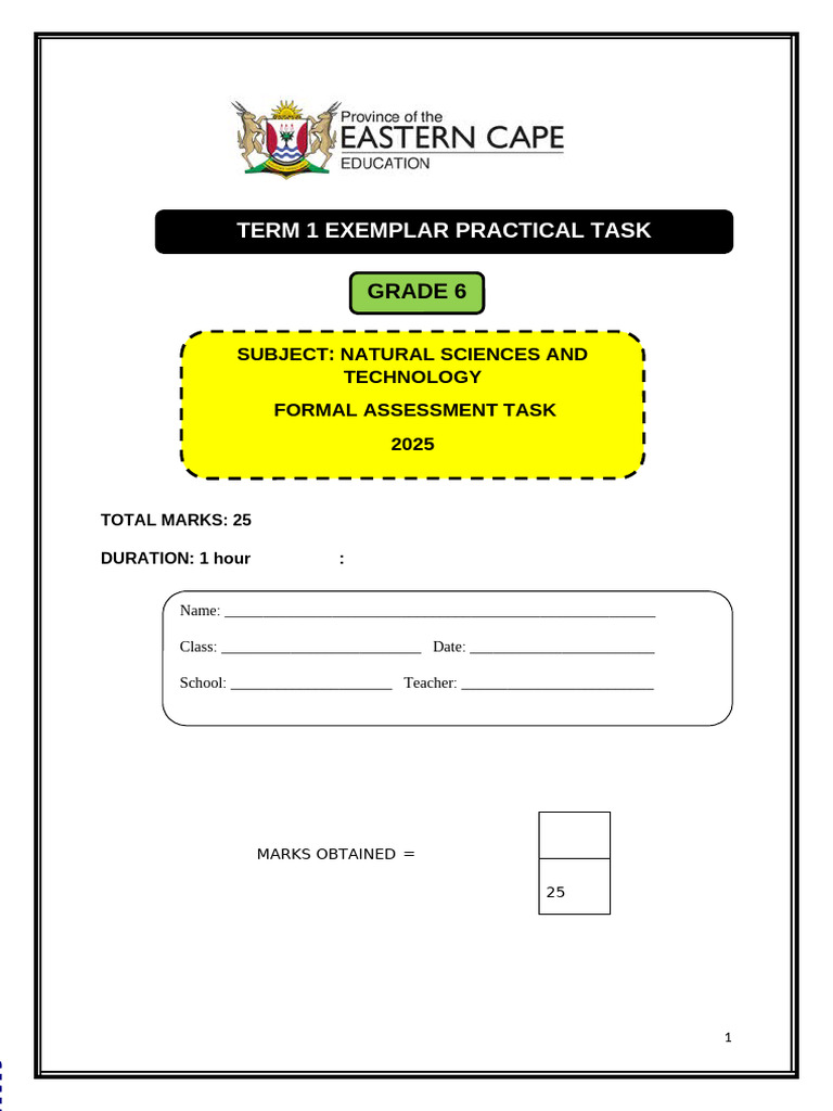Iodine Starch Test for Grade 6 Science | PDF | Starch | Foods