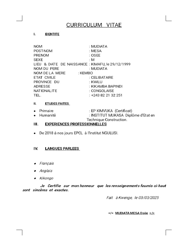 CURRICULUM VITAE MUDIATA_Phoenix | PDF