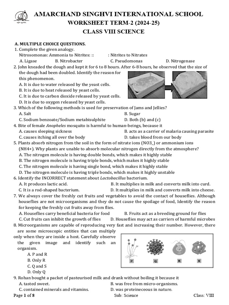 Class VIII Science Worksheet 2024-25 | PDF | Anode | Electrode