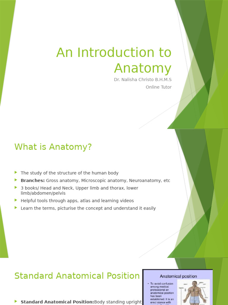 An Introduction to Anatomy | PDF | Bone | Hand