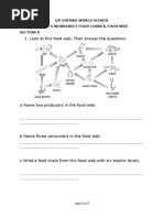 Term 3 Life Science Remote Learning Booklet | PDF | Leaf | Mitosis
