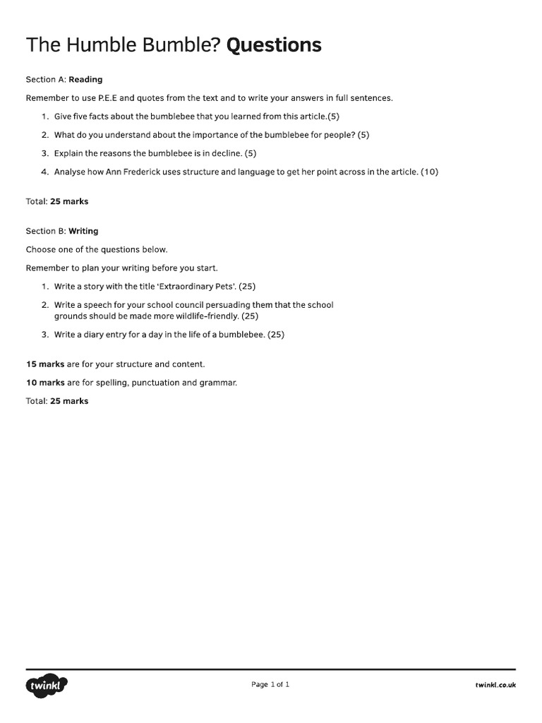 GCSE Style Reading and Writing Assessment - Bumblebees - Test Paper | PDF