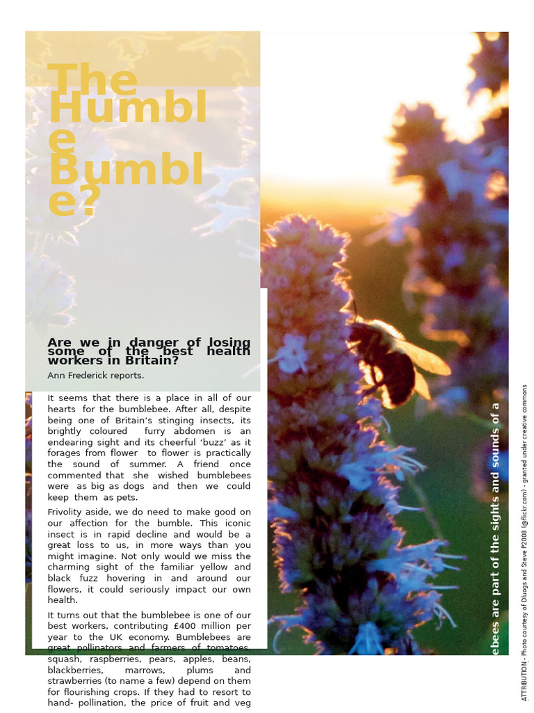 GCSE Style Reading and Writing Assessment - Bumblebees - Text ...