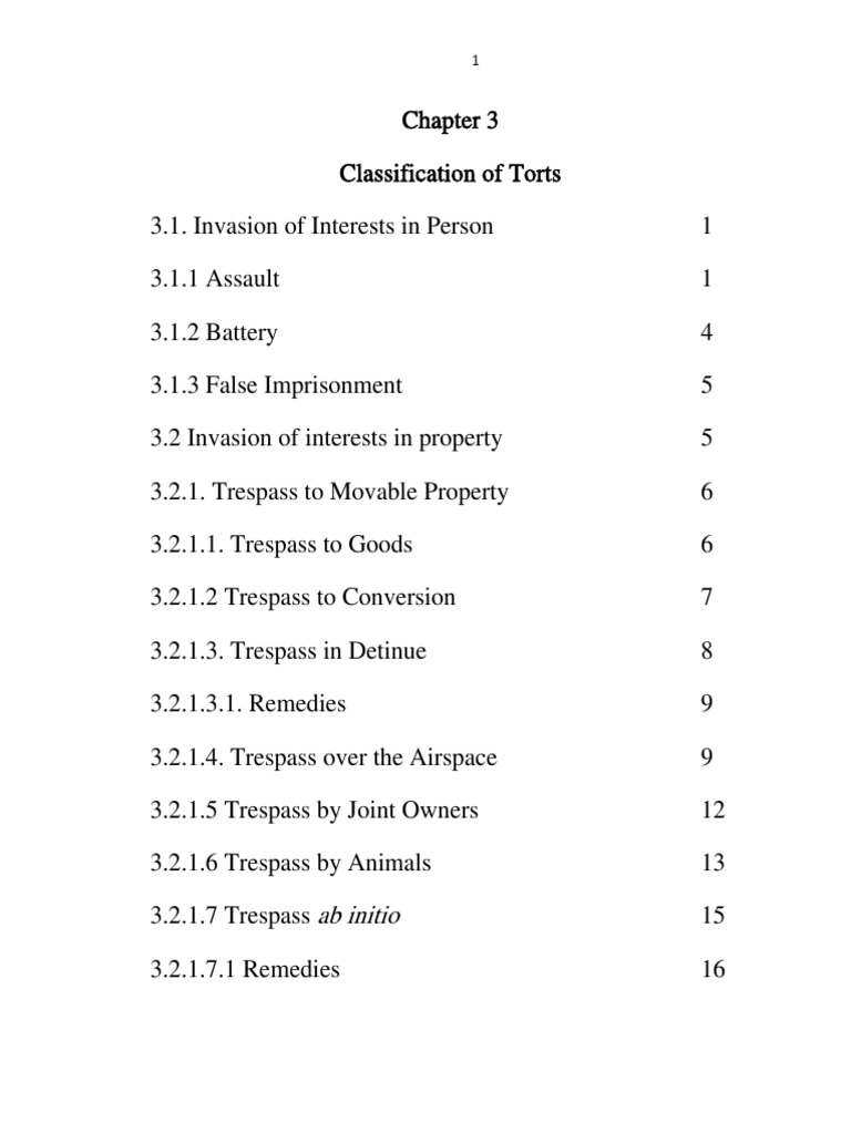 Chapter 3 Tort | PDF