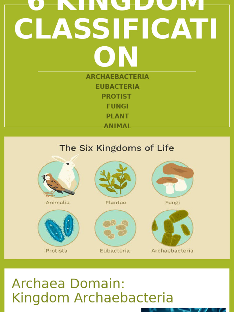 6 Kingdom Classification | PDF | Bacteria | Archaea