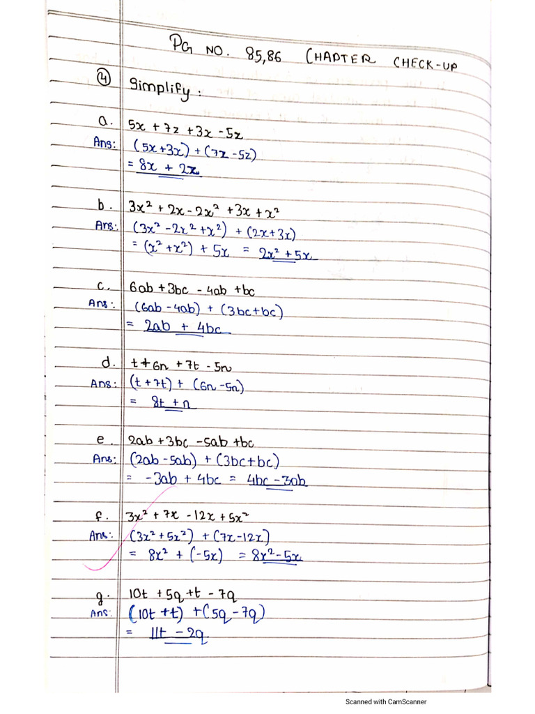 Chapter Check Up - Algebraic Expressions | PDF