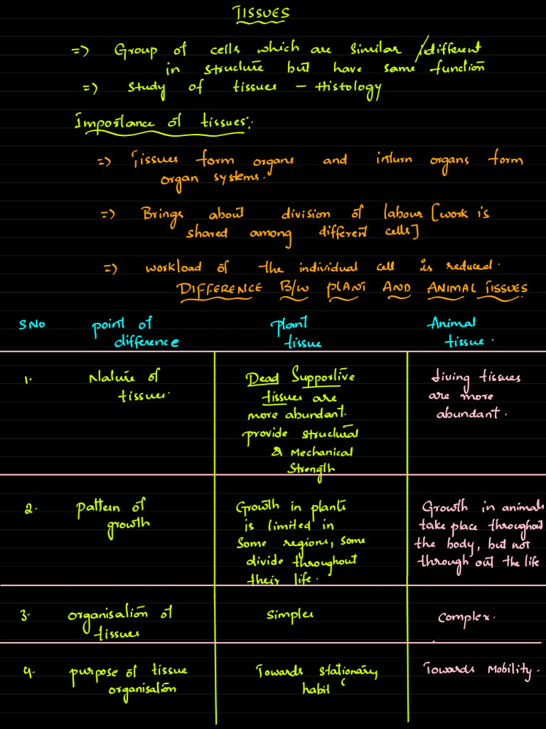 Tissues 9TH Grade | PDF