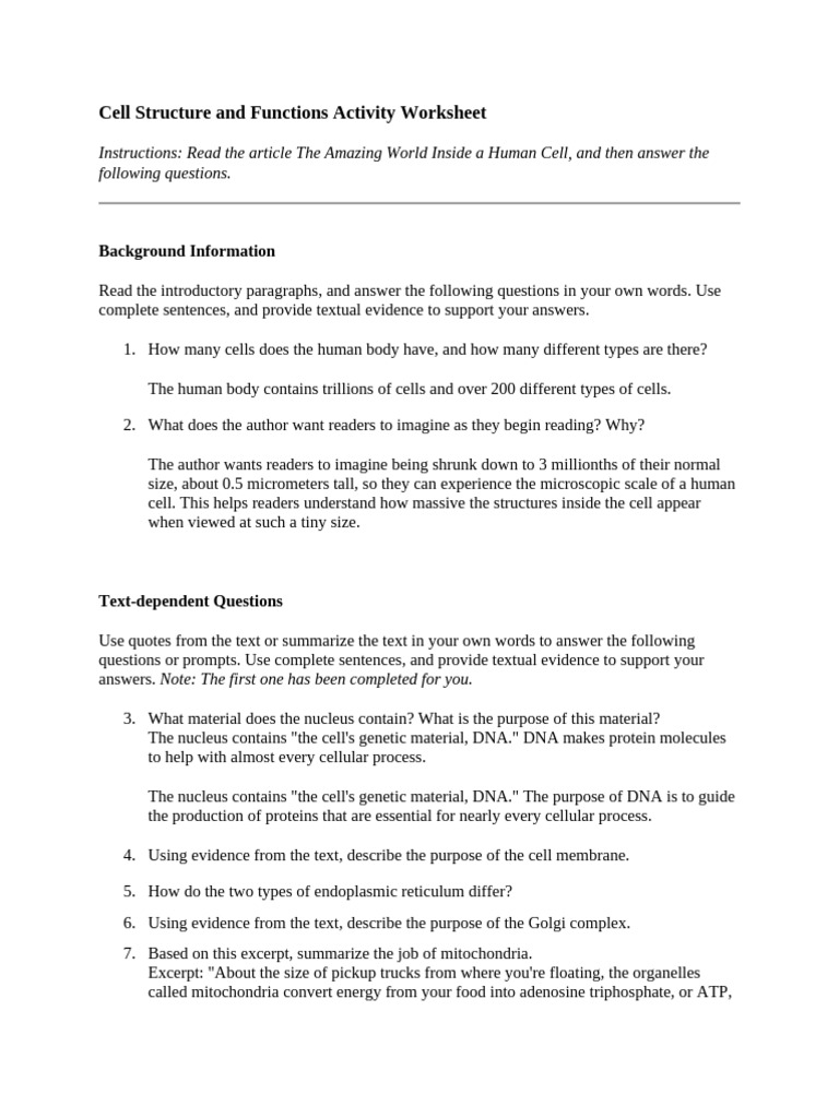 Activity Worksheet | PDF | Cell (Biology) | Cell Biology