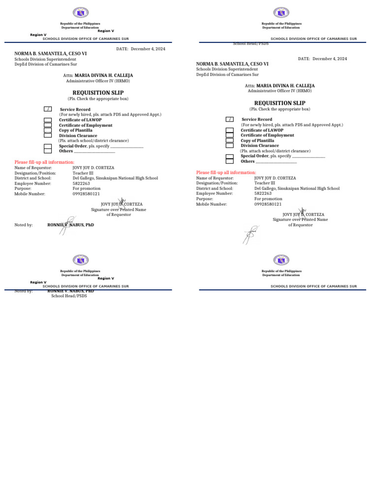 Requisition Slip-2 2 | PDF | Public Administration | Government