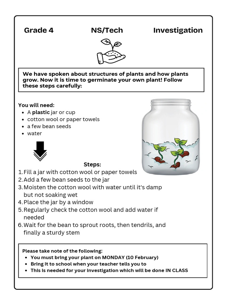 Germinate A Bean Seed Term 1 | PDF