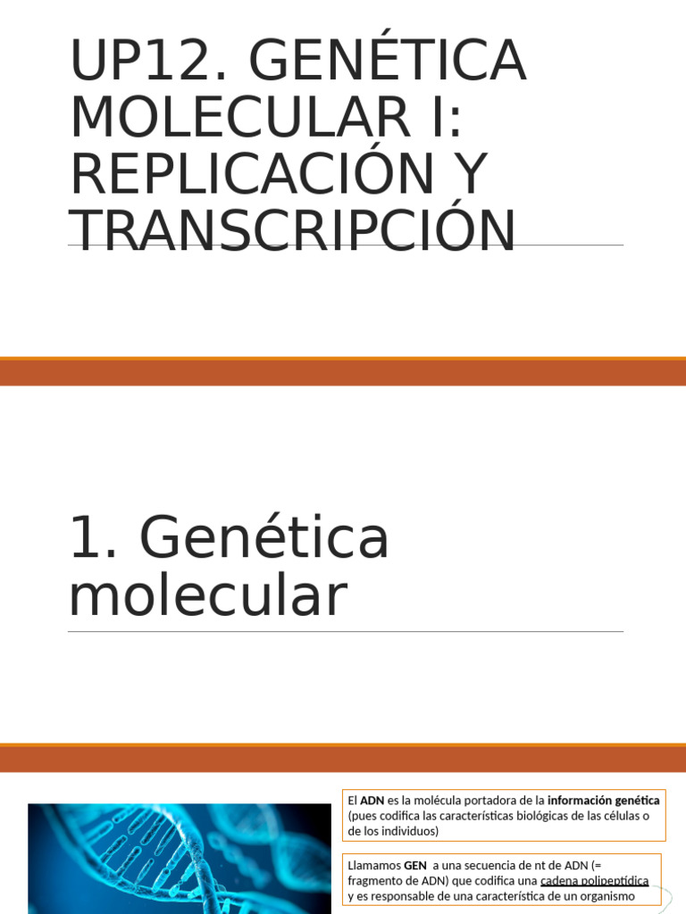 U12. G. Molecular I. Replic y Transc | PDF | Adn | Rna