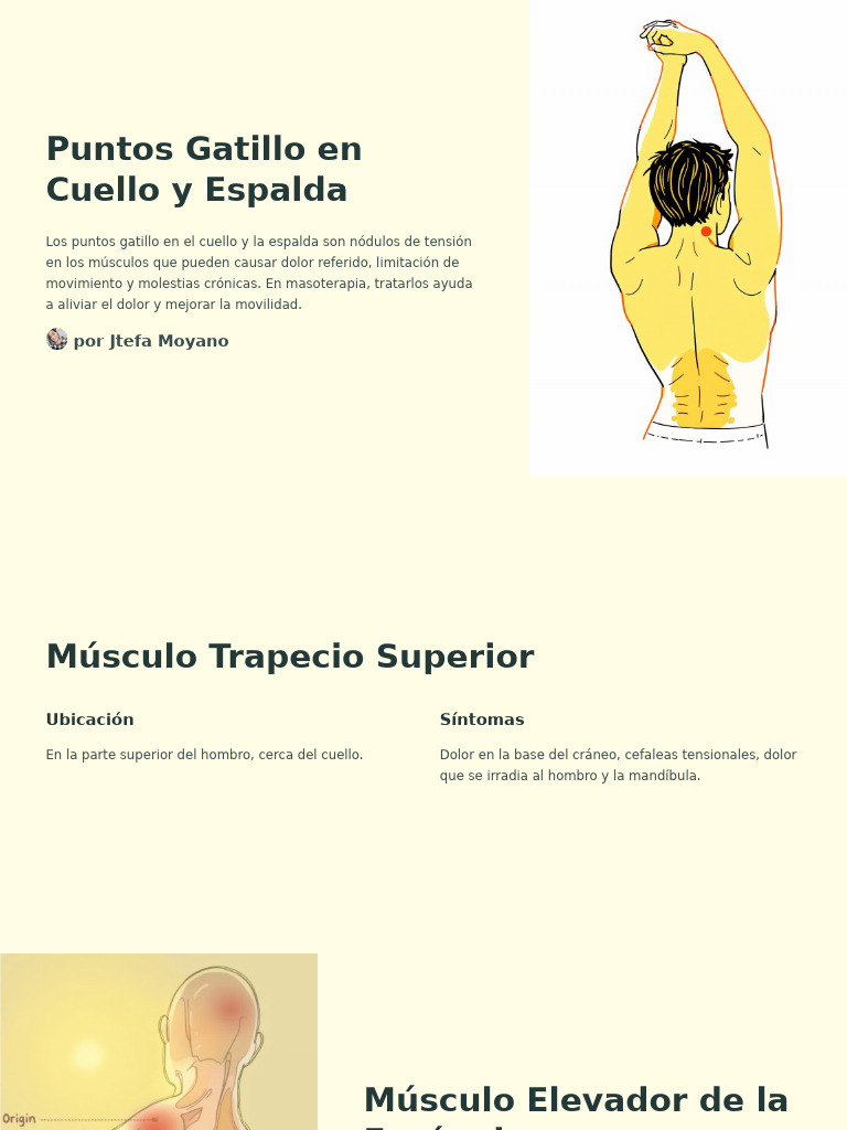 Alivio de Puntos Gatillo en Cuello y Espalda | PDF