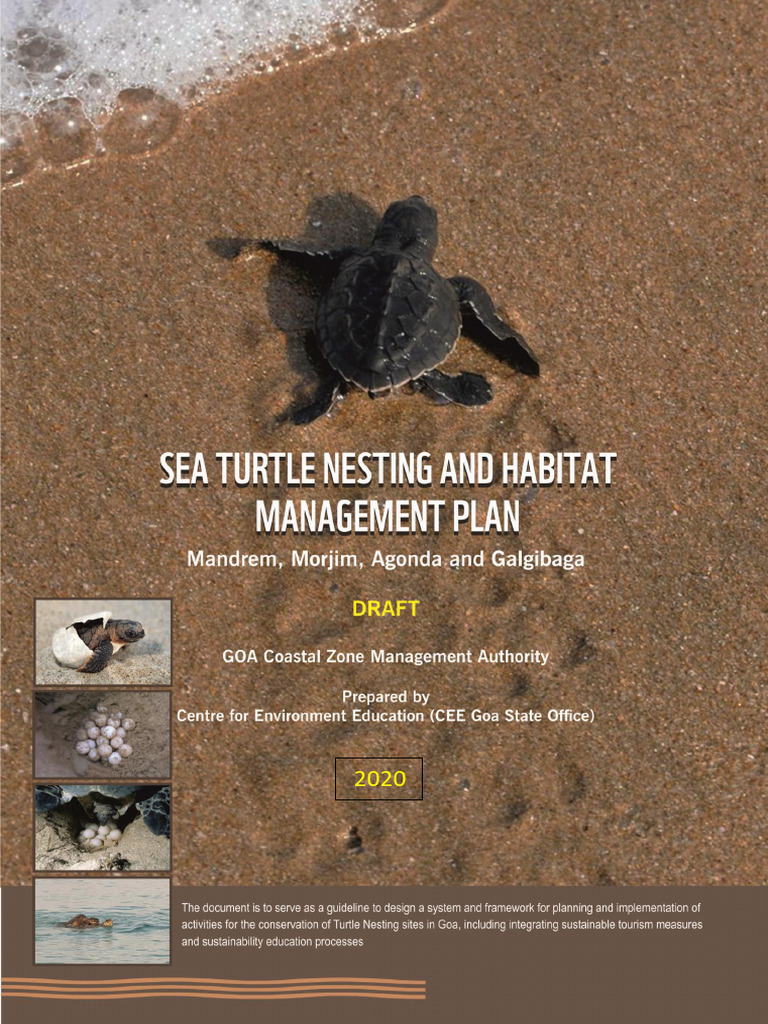 Sea Turtle Nesting Habitat Management | PDF | Sea Turtle | Turtle