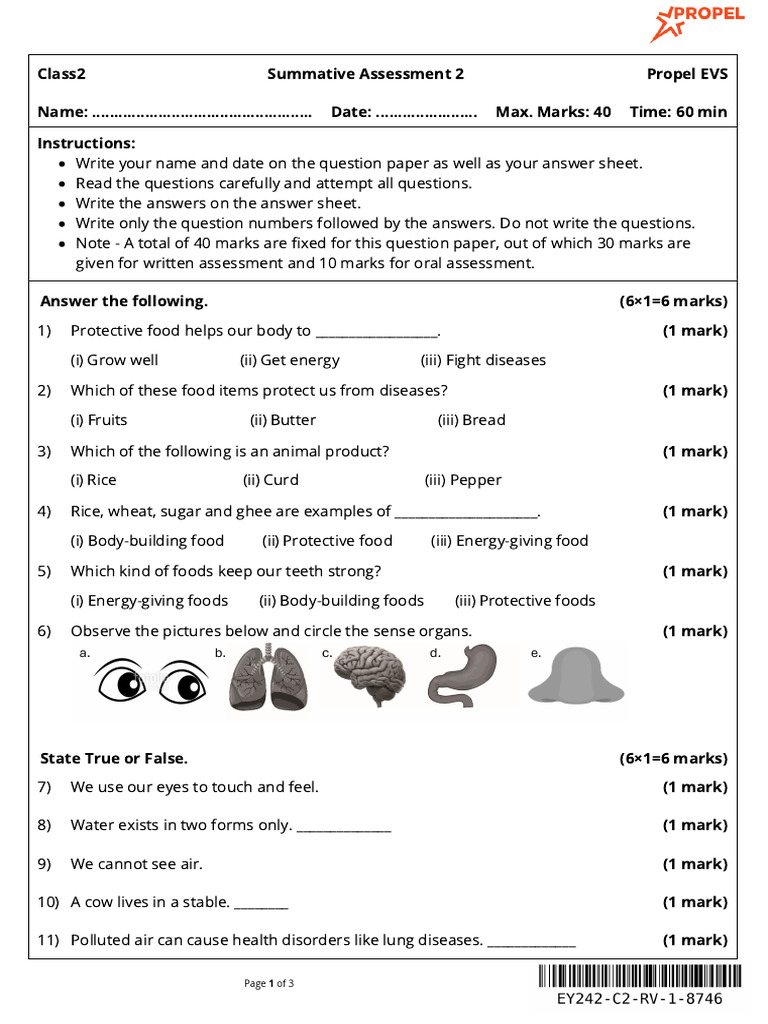 Class2 - Propel EVS - EOY 8746 | PDF | Foods | Cuisine