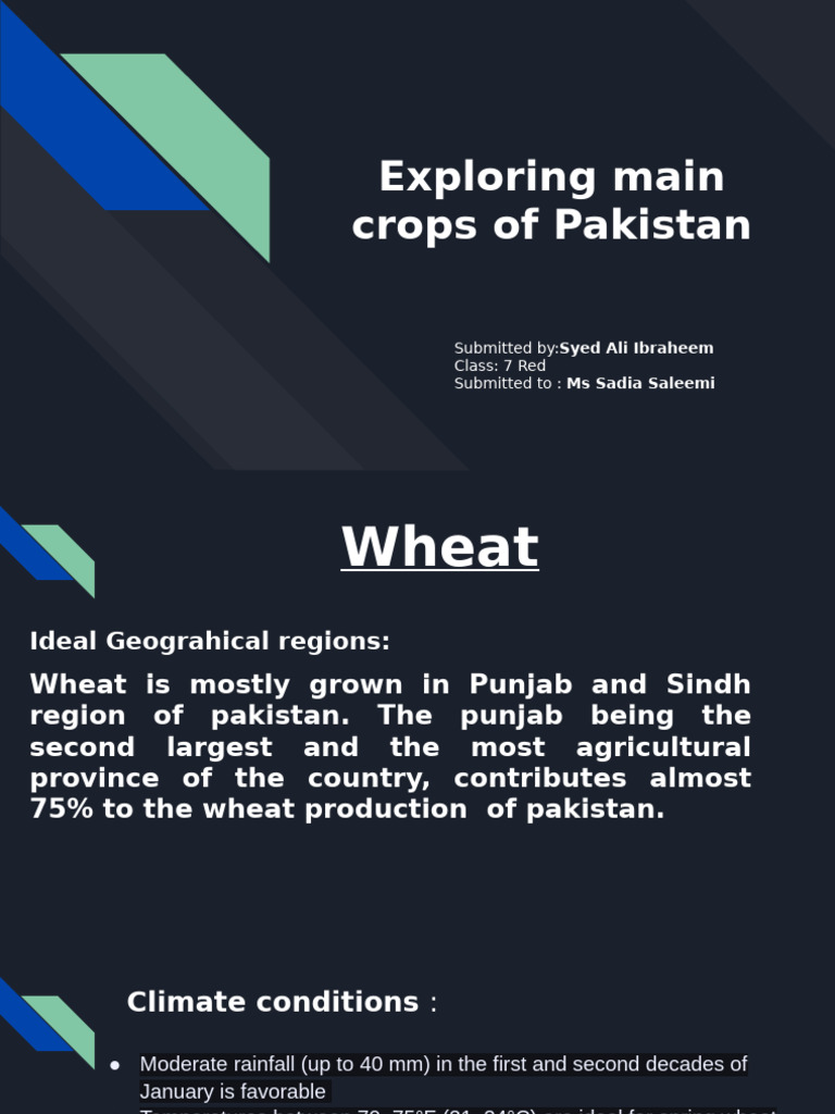 Exploring Main Crops of Pakistan | PDF | Rice | Agriculture