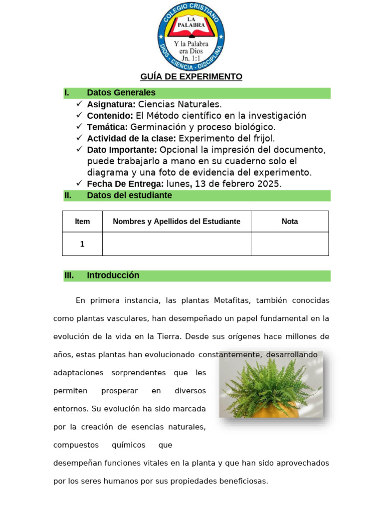 Guía de Experimento 7mo | PDF | Evolución | Plantas