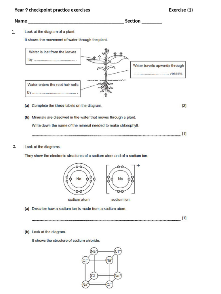 Year 9 Checkpoint Practice Exercises Exercise | PDF