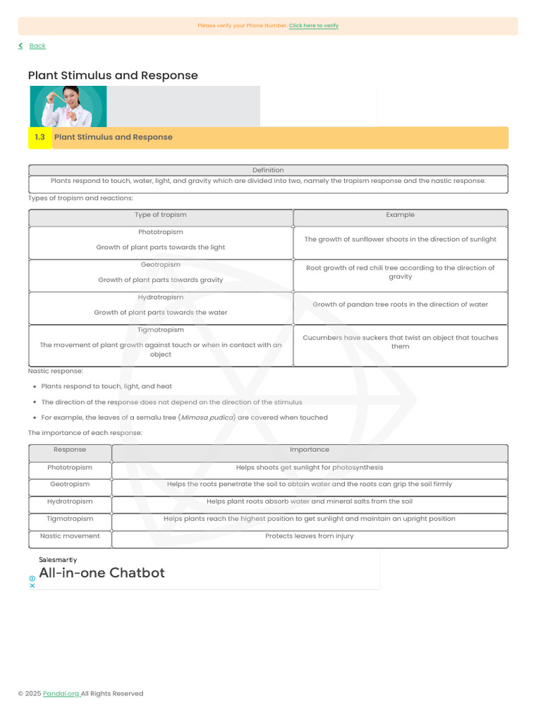 The Stimuli and Responses in Plants | PDF | Plant Physiology | Organisms