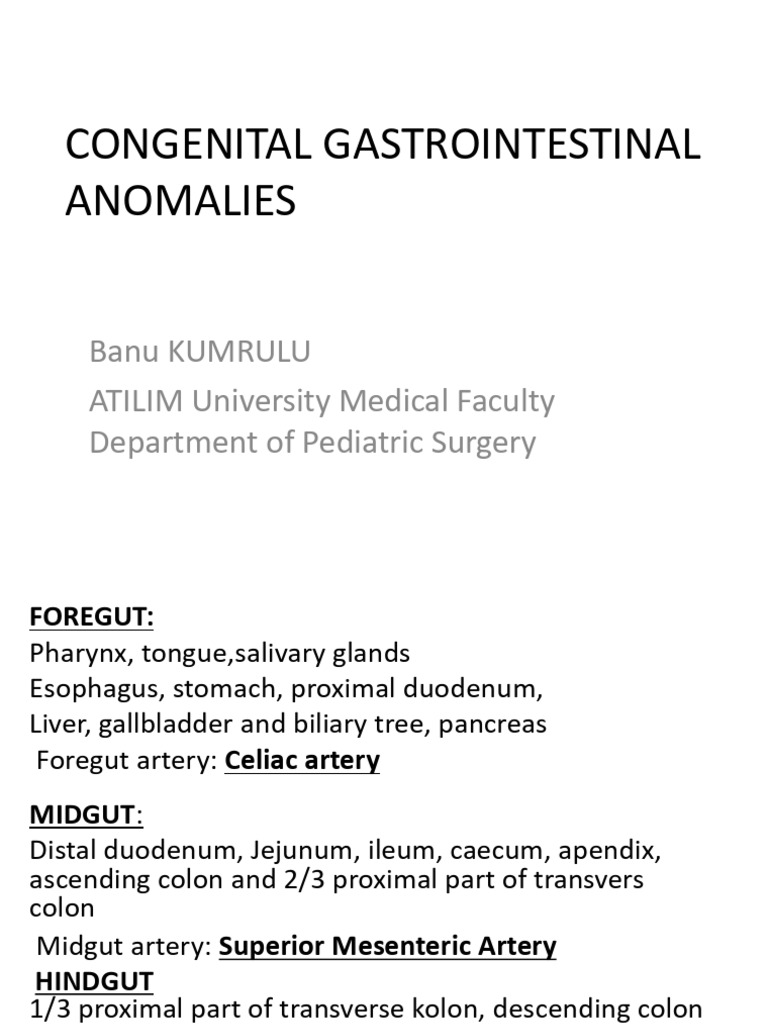 GIS anomalies english | PDF | Gastrointestinal Tract | Liver