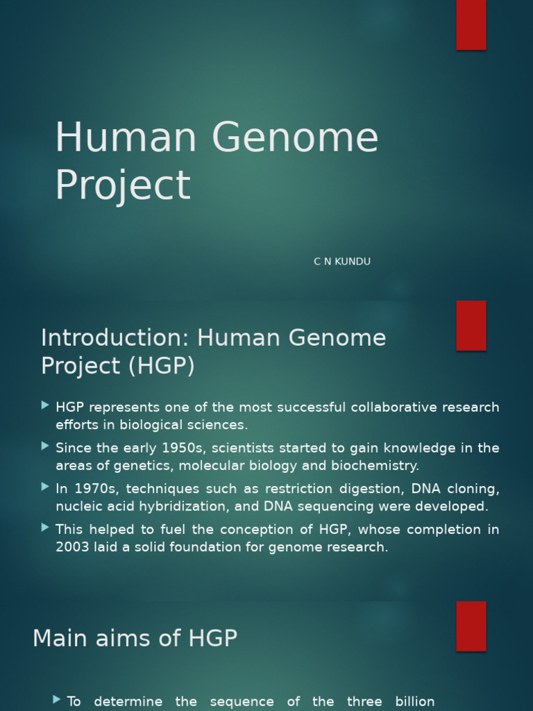 Overview of the Human Genome Project | PDF | Human Genome | Genome