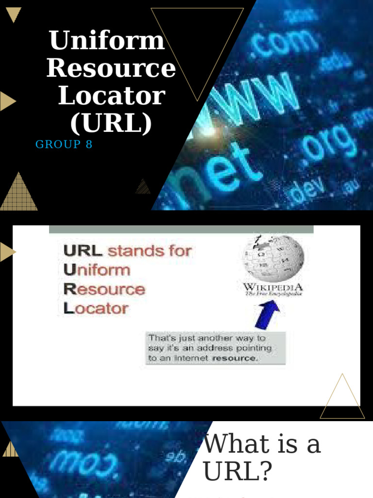 Universal Resource Locator (URL) | PDF | World Wide Web | Internet & Web