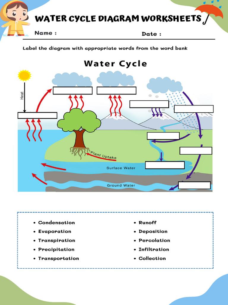 Water Cycle Diagram Worksheet | PDF