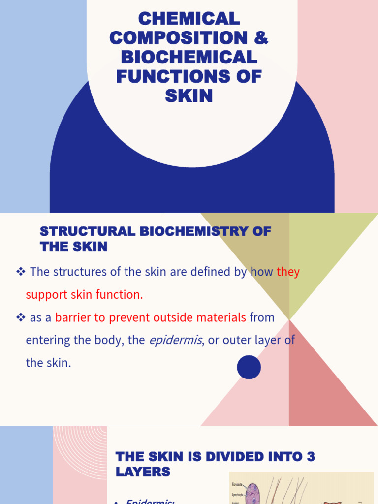 Skin Structure and Biochemical Functions | PDF | Epidermis | Skin