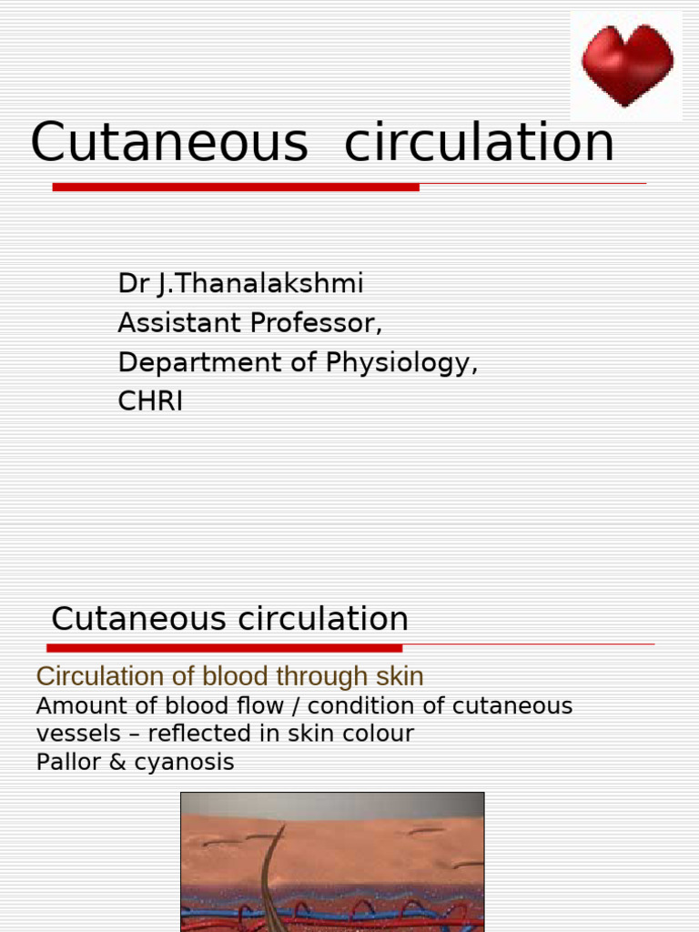 CutaneouscirculationTJ | PDF | Vasodilation | Medical Specialties
