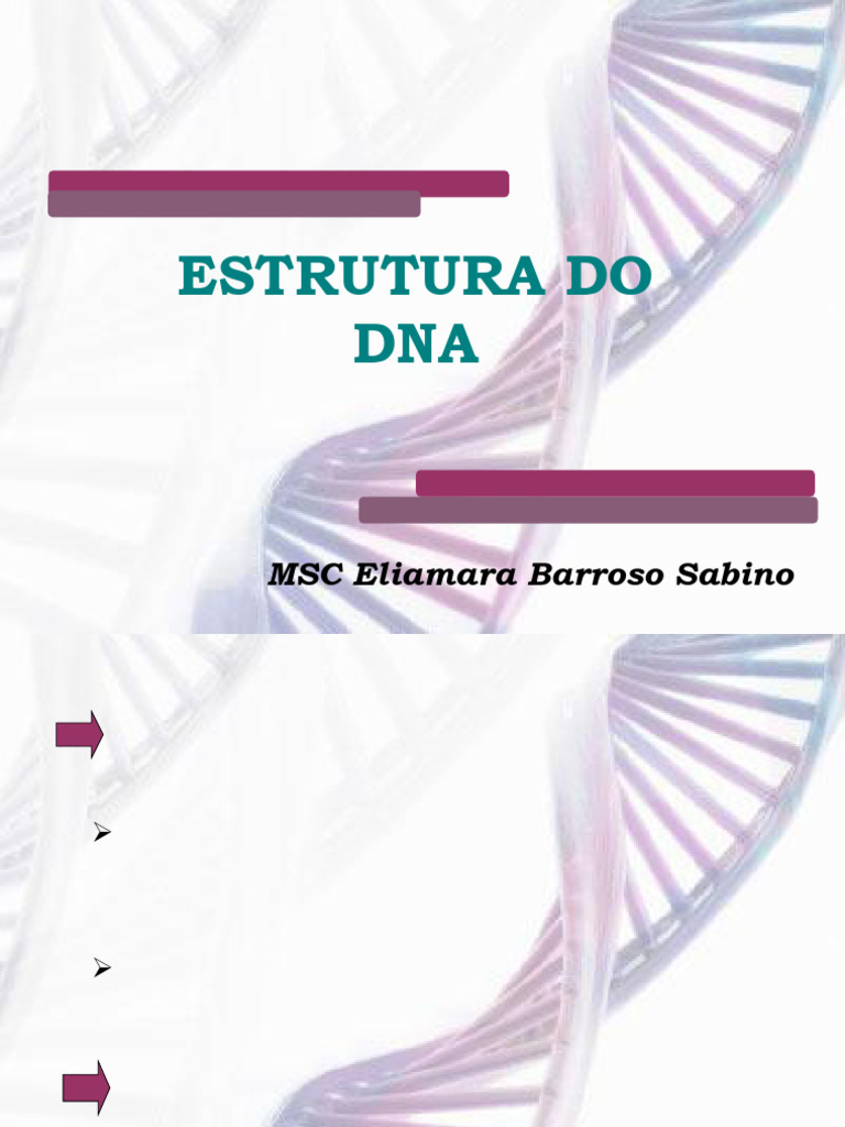 Estrutura e Função do DNA e RNA | PDF | DNA | Cromossomo