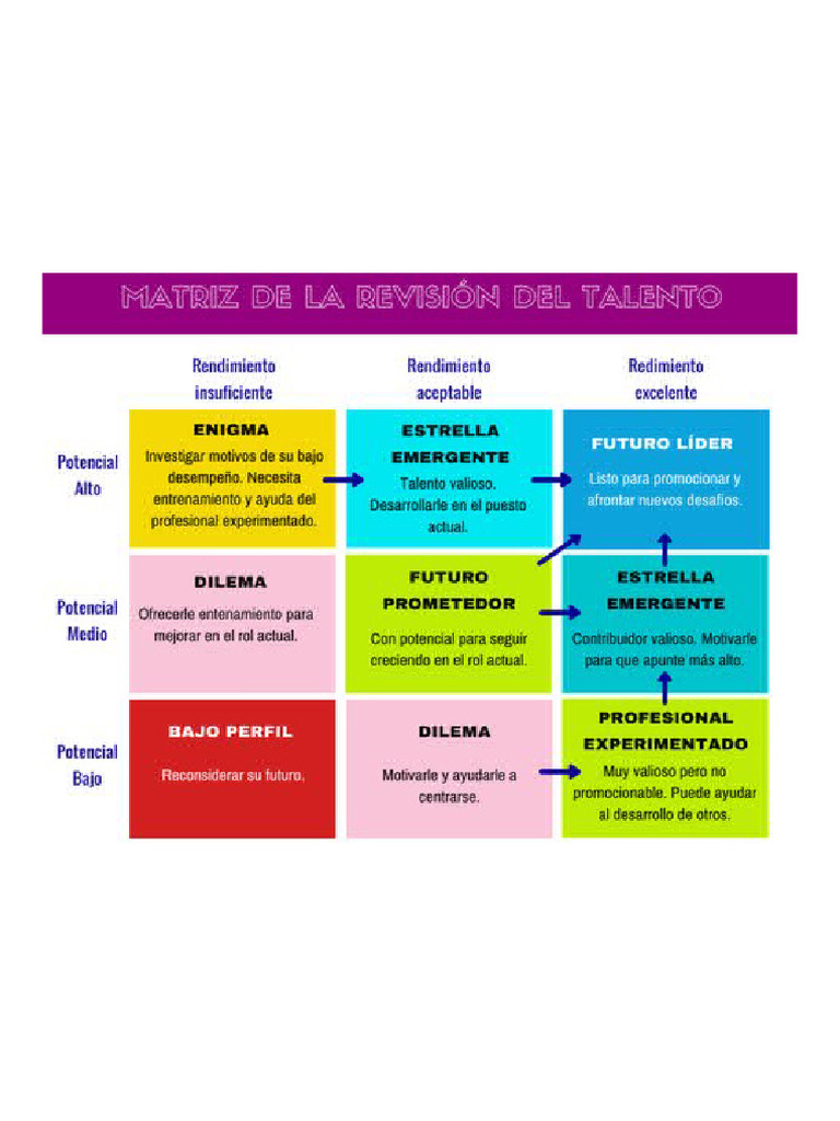 Matriz desempeño 9 cajas | PDF