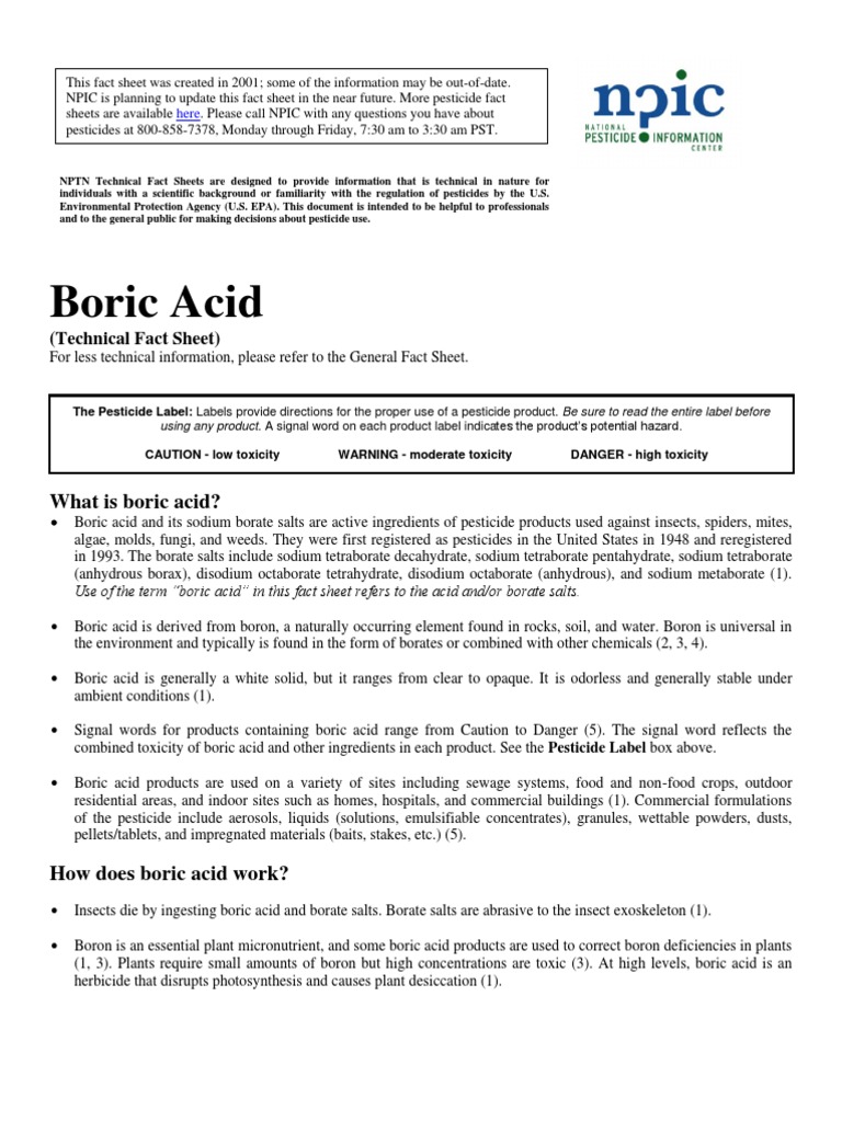 What Is Boric Acid? | PDF | Toxicity | Pesticide